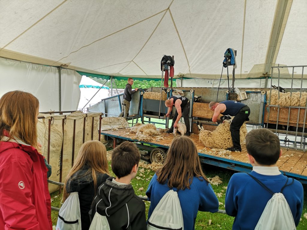 Agricultural society offers hands-on learning for more than 1,000 ...