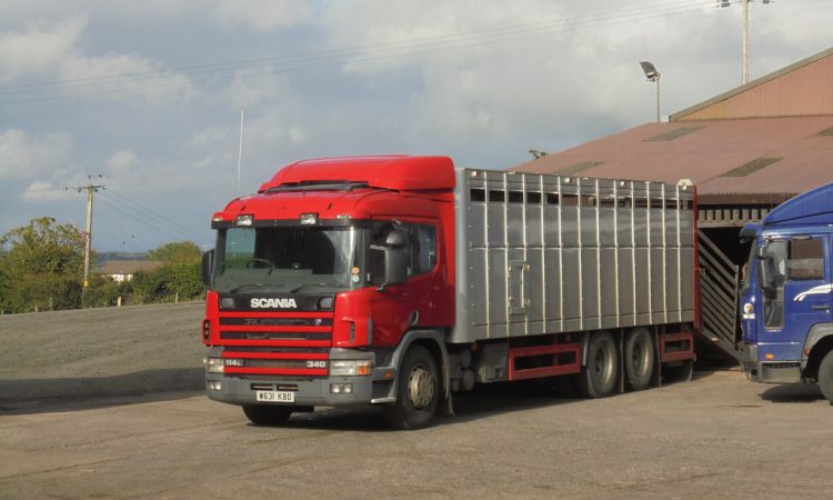 DAERA port protocol outlines new measures for GB to NI agri-food ...