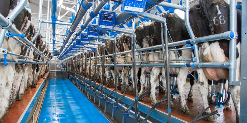 Selective dry cow therapy proving beneficial – AFBI - Agriland.co.uk