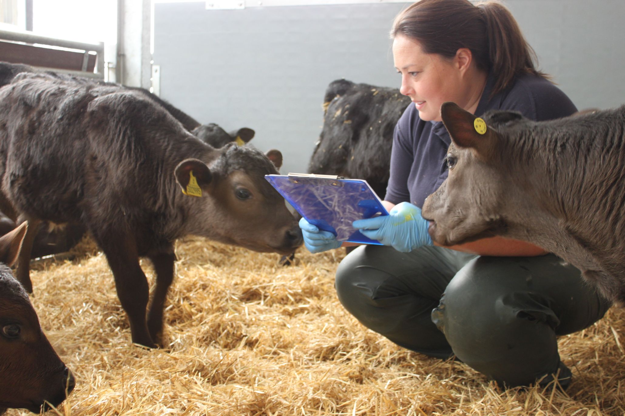 Buitelaar Offer Progressive Career Opportunities | Buitelaar