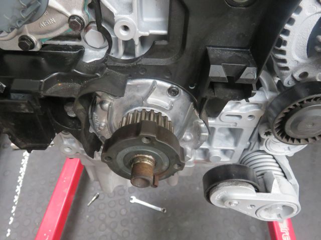 Focus ST225 Performance Build | Fully Forged Rebuild