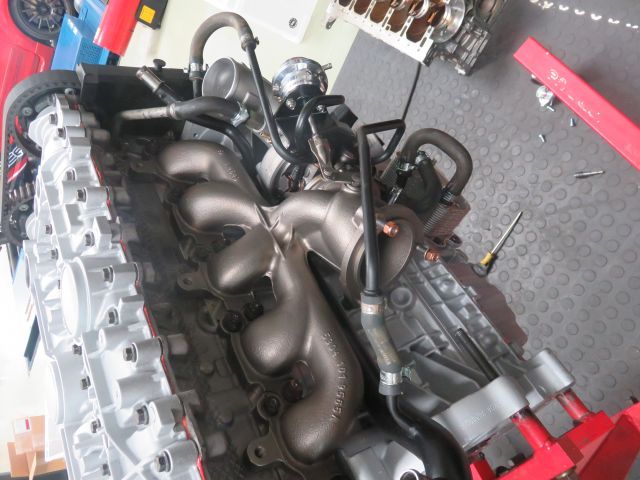 Focus ST225 Performance Build | Fully Forged Rebuild