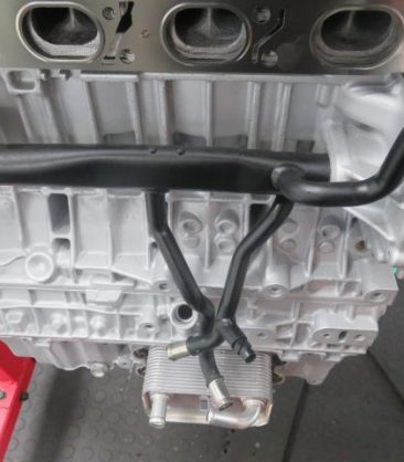 Focus ST225 Performance Build | Fully Forged Rebuild