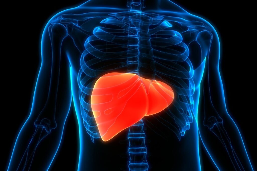 Dapagliflozin shows promise in progressive liver disease - Pulse Today