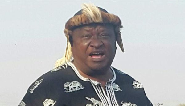 High Court blocks Ndebele King coronation