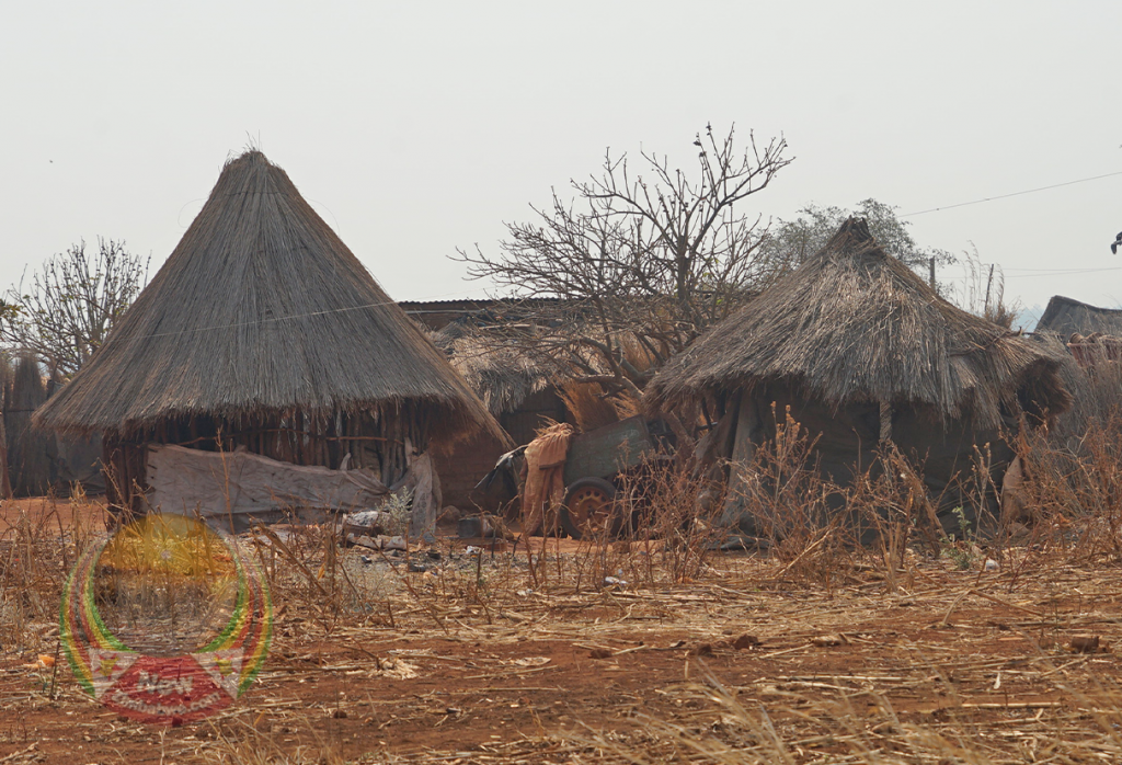 In Pictures: 300 families in Chegutu face eviction to make way for ...