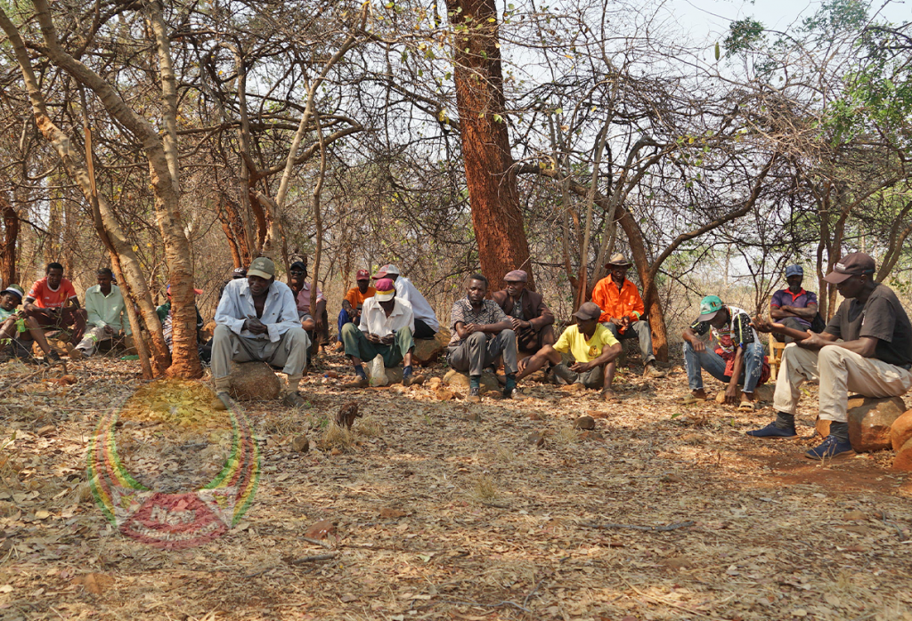 In Pictures: 300 families in Chegutu face eviction to make way for ...