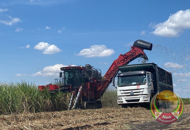 Greenfuel's irrigated acres appease disgruntled villagers on contested ...