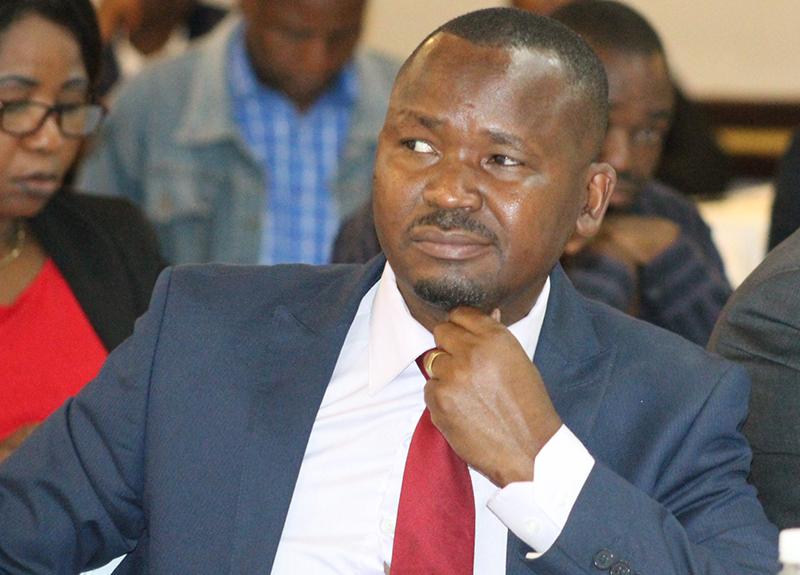 Former CCC Binga North legislator Sibanda finally granted bail ...