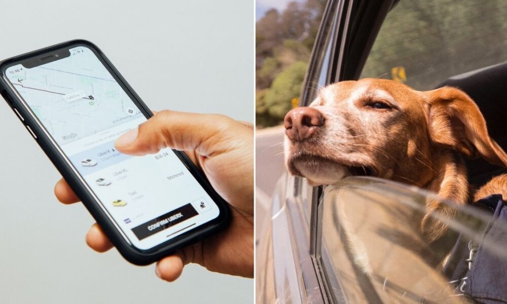 Uber launches new taxi service for passengers and their pets