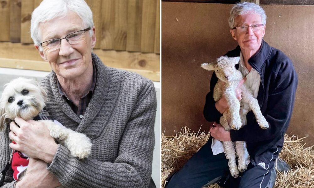 Paul O’Grady posthumously named Peta’s Person of the Year Paul O’Grady posthumously named Peta’s Person of the Year