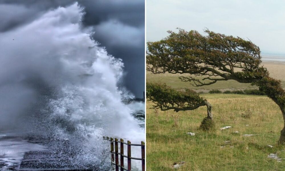 Amber weather warnings for strong 80mph winds this weekend