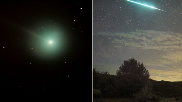 A petition has been launched to bring back Jacques fruit cider