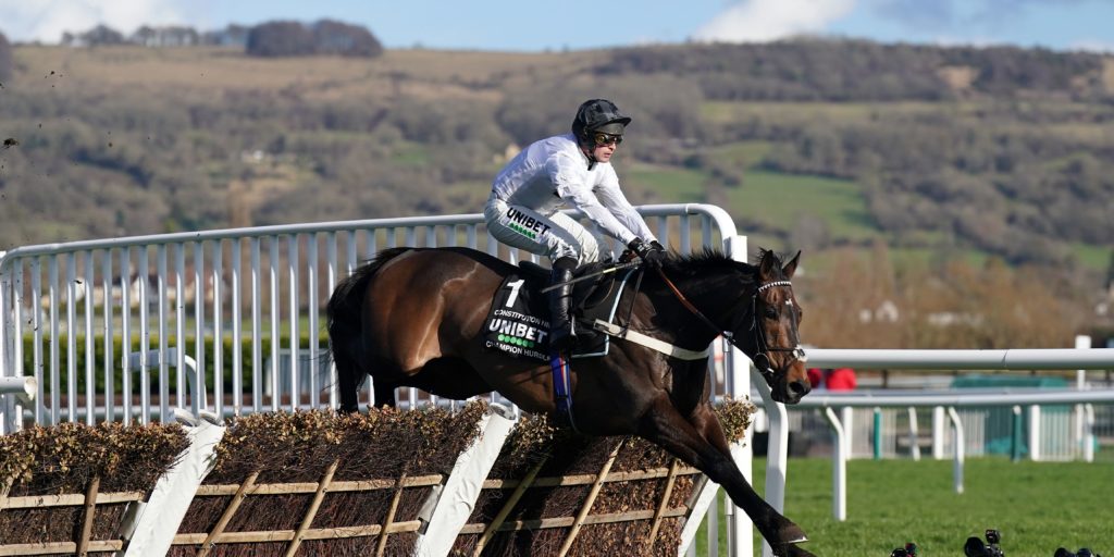 Richard Hoiles picks out his favourite memories of the season | Racing365