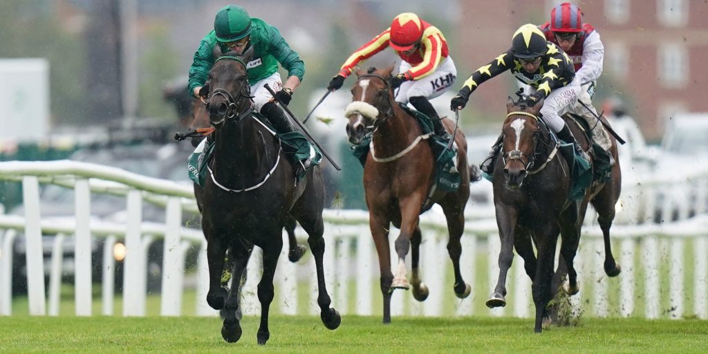 Commonwealth Cup now the big target for Relief Rally | Racing365