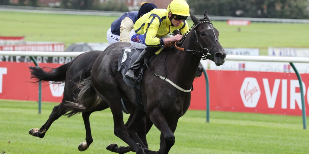 Beautiful Diamond aiming to sparkle in Palace House | Racing365