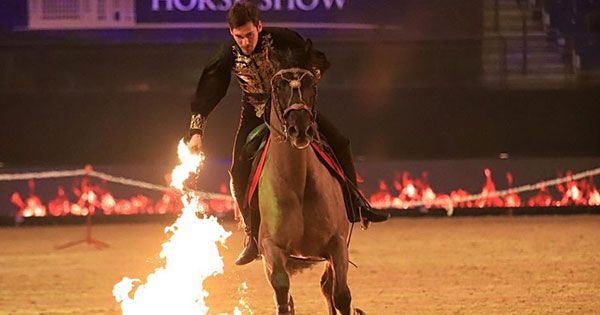 Equestrian Showcase Entertains Audiences at Liverpool International ...